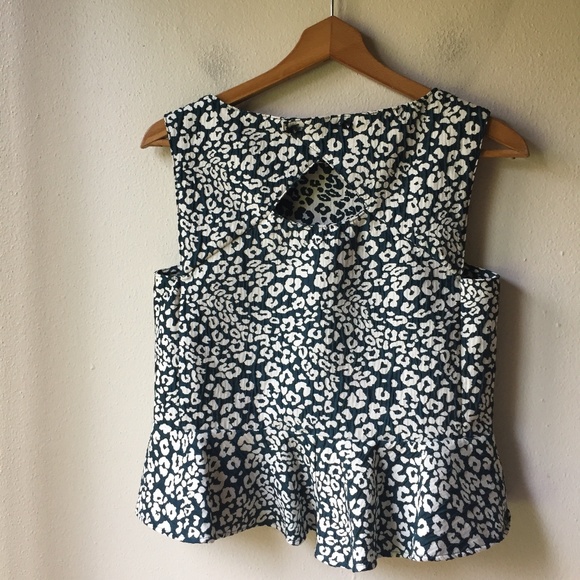 Zara | Pants & Jumpsuits | Zara Leopard Print Set Pants Top | Poshmark